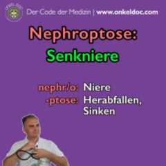 Nephroptose - DocCheck Flexikon