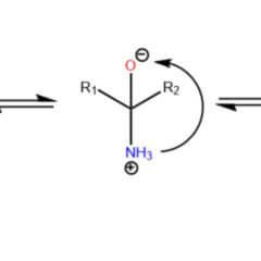 Imin - DocCheck Flexikon