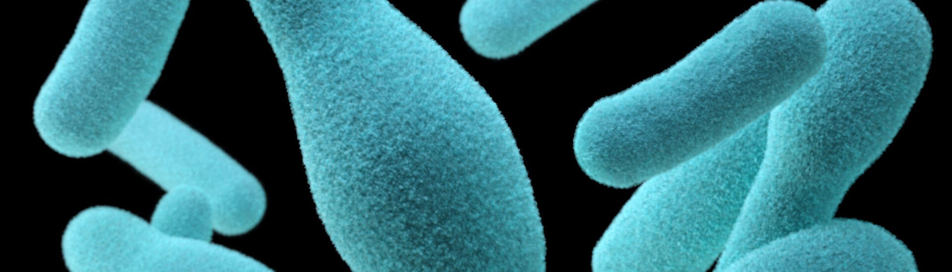 Mikrobiom: Butyrat gegen Darmentzündung - DocCheck