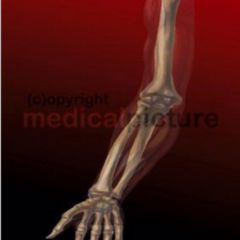 Knöchel-Arm-Index - DocCheck Flexikon