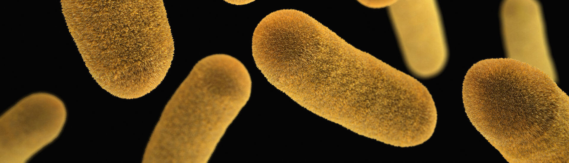 RNA-Antibiose: Die Zukunft der Antibiotika? - DocCheck