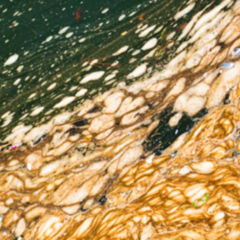 Adenosin - DocCheck Flexikon