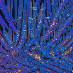 Bunte Reihe - DocCheck Flexikon