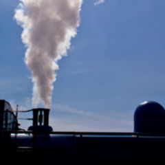 Tabak - DocCheck Flexikon