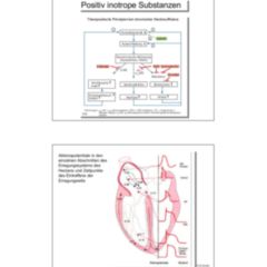 Inotrop - DocCheck Flexikon