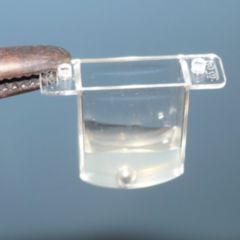 Blutplasma - DocCheck Flexikon