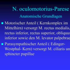 Nucleus oculomotorius accessorius - DocCheck Flexikon