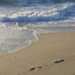 Exsudation - DocCheck Flexikon