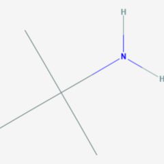 TERT - DocCheck Flexikon
