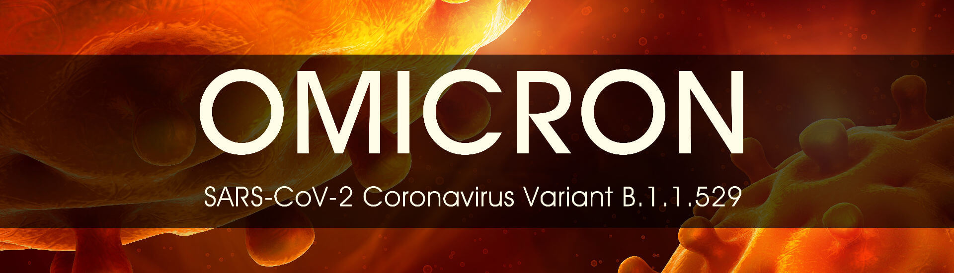 Omikron: Das sagen die Experten - DocCheck