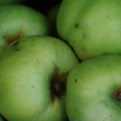 Apfel-Score - DocCheck Flexikon