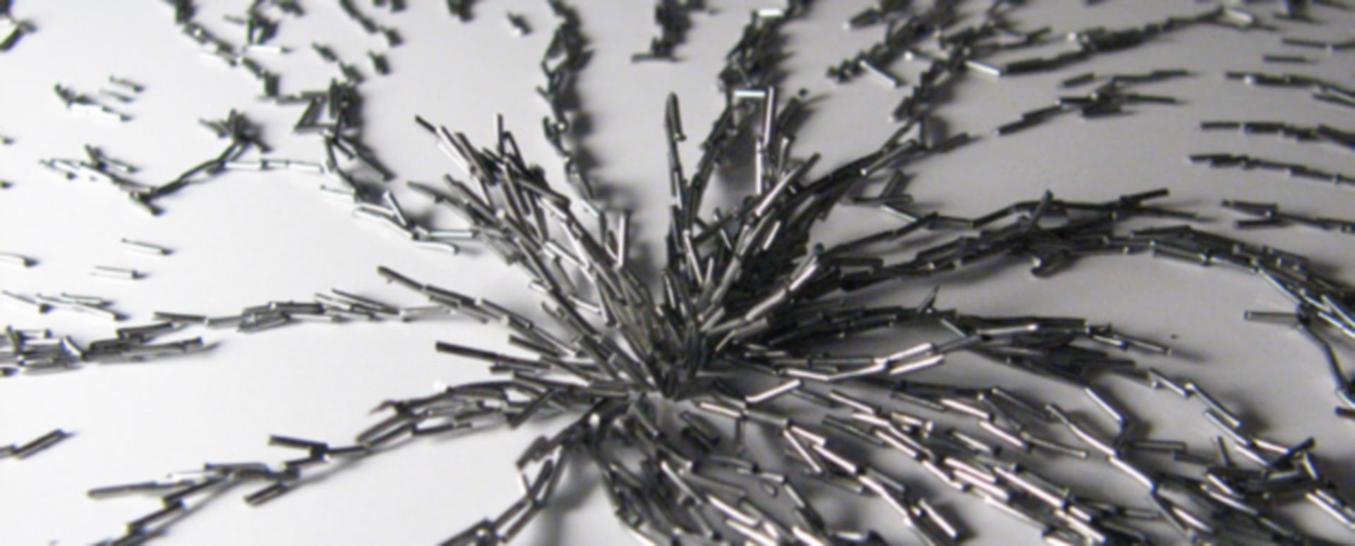 Zahnersatz: Biomimetik mit Magnetfeld - DocCheck