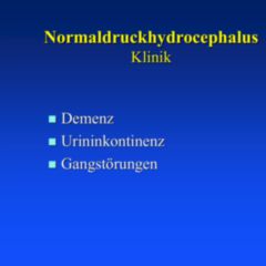 Coxa norma - DocCheck Flexikon