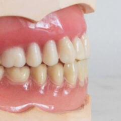 Parodontal - DocCheck Flexikon