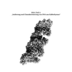 DNA-Polymerase I - DocCheck Flexikon