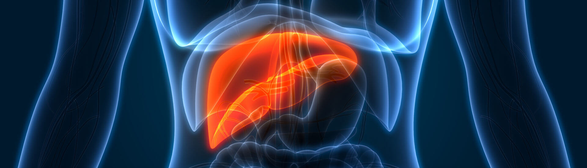 Individuelle Immunsuppression nach LTx: Ein neuer Therapieansatz ...