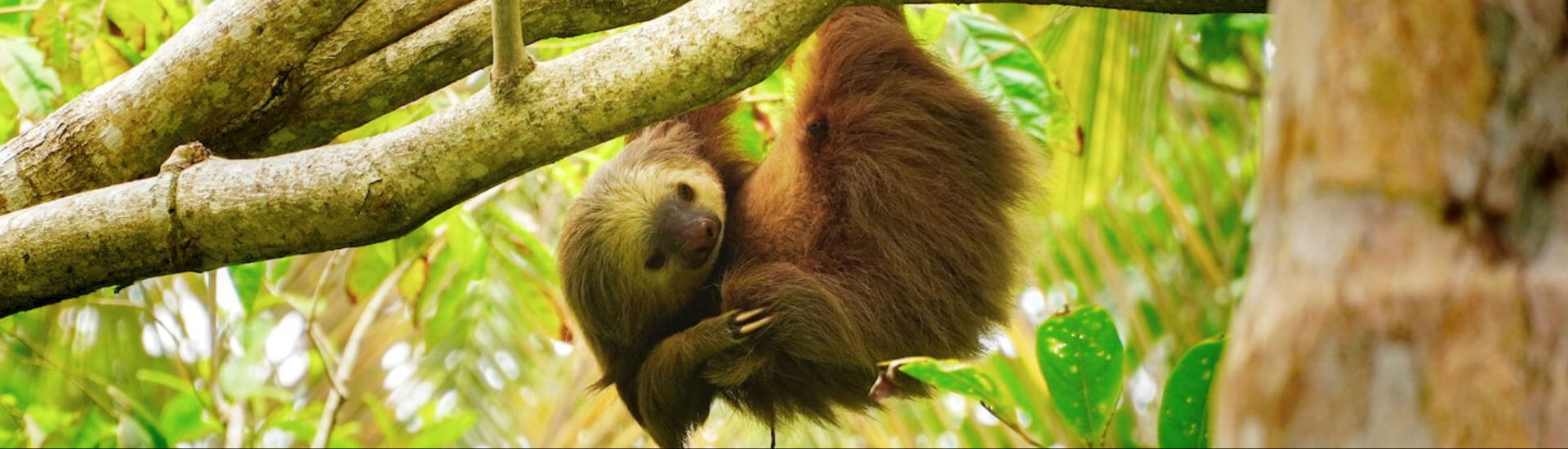 Faul in der Jugend, faul im Alter - DocCheck