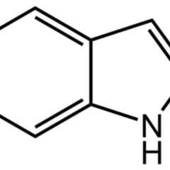 Indol - DocCheck Flexikon