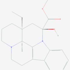 Vasodilator-stimuliertes Phosphoprotein - DocCheck Flexikon