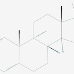 Anabolikum - DocCheck Flexikon