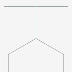 Trisomie 8 - DocCheck Flexikon