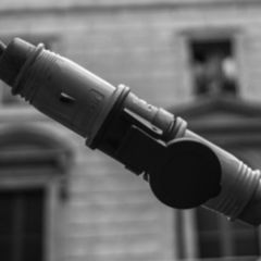 Tuber ischiadicum - DocCheck Flexikon