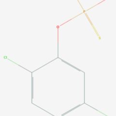 Endoparasit - DocCheck Flexikon
