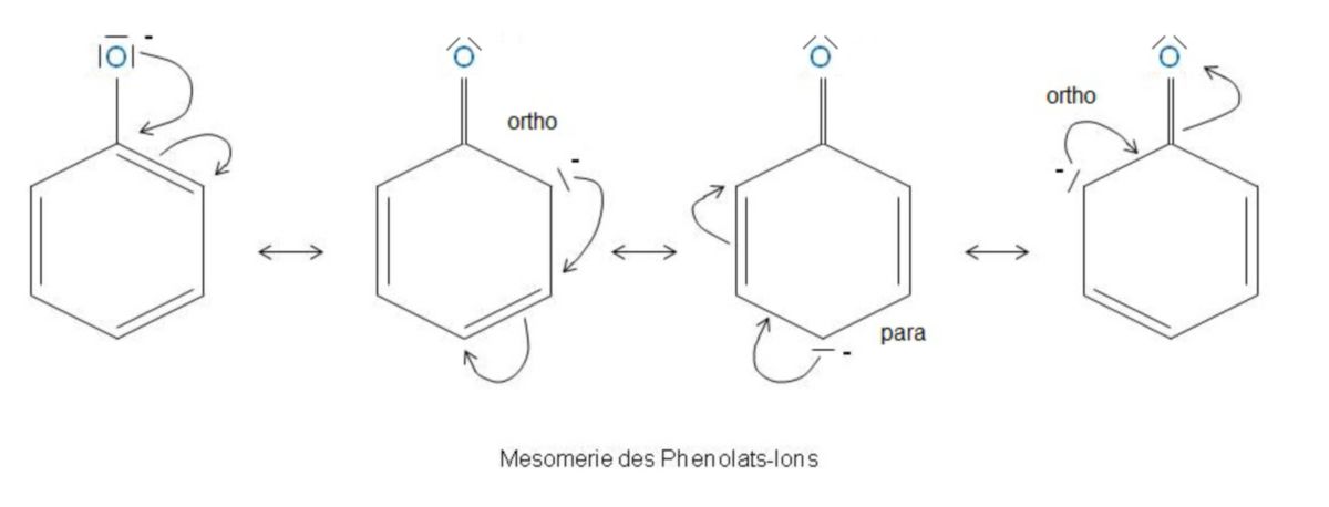 Mesomerie Phenolations - DocCheck
