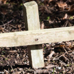 Kachexie - DocCheck Flexikon