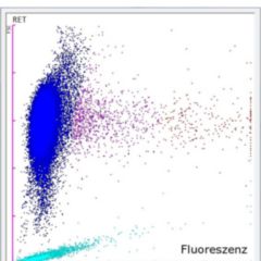 Streudiagramm - DocCheck Flexikon