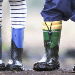 Antibiose - DocCheck Flexikon