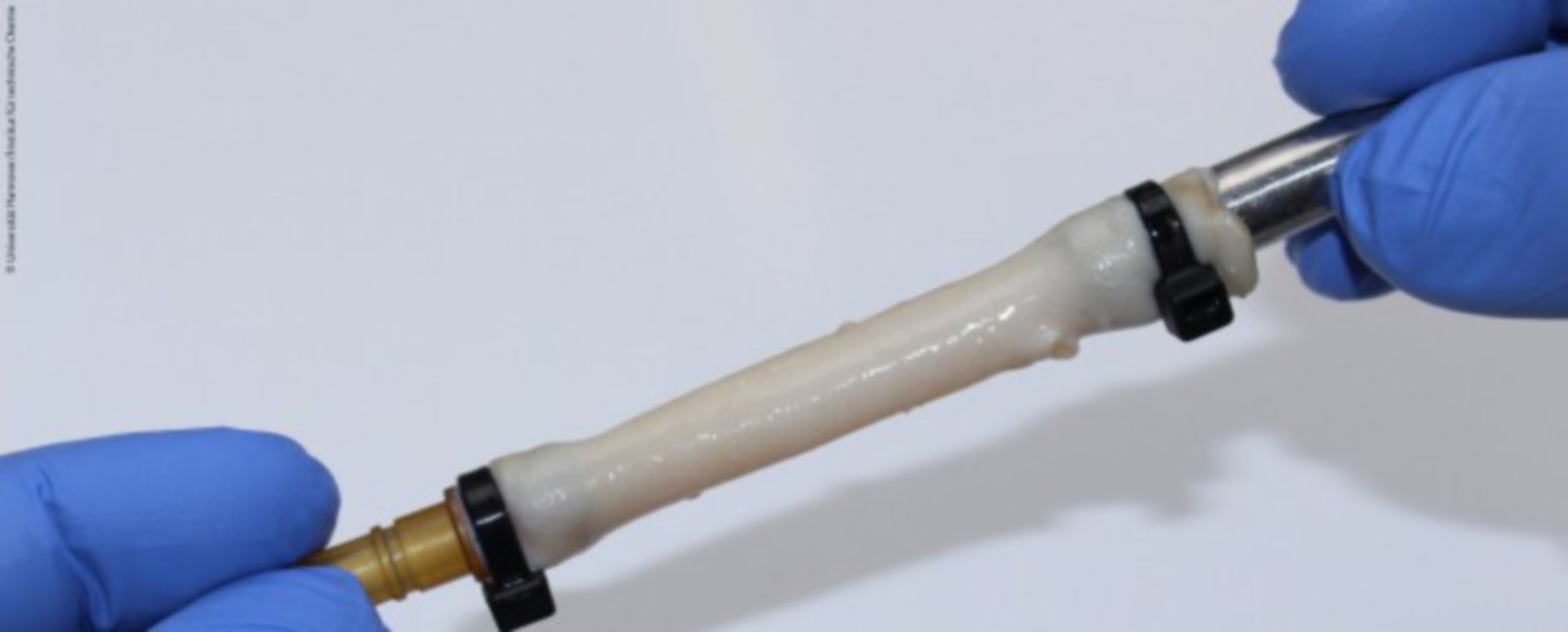 Tissue Engineering: Mit dem richtigen Dreh zum Bypass - DocCheck