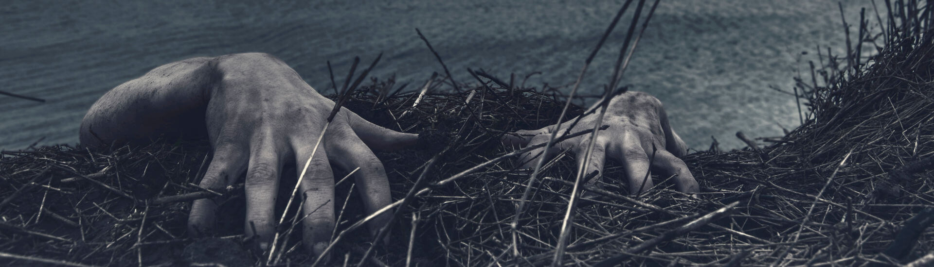 „Tranq“: Die Zombie-Droge aus dem Arztkoffer - DocCheck