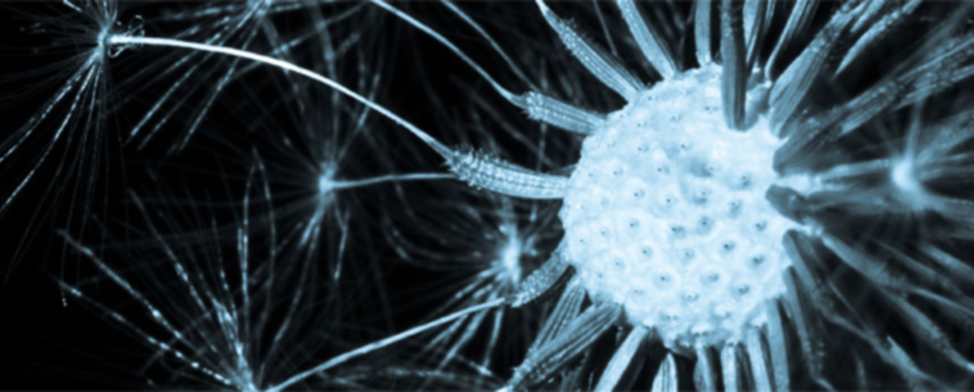 Synapsenwachstum: Das Verhältnis entscheidet - DocCheck