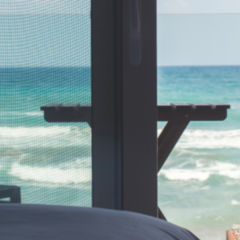 Iris stellata - DocCheck Flexikon