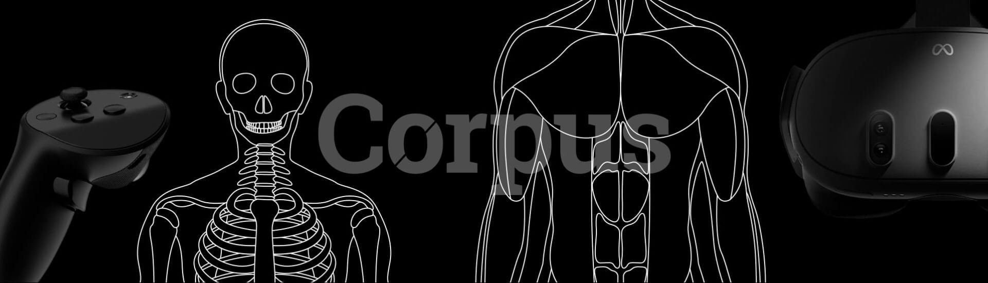 Produktchecker gesucht: Virtual Anatomy? - DocCheck