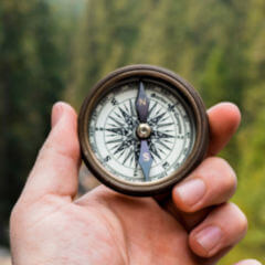 Immunadsorption - DocCheck Flexikon