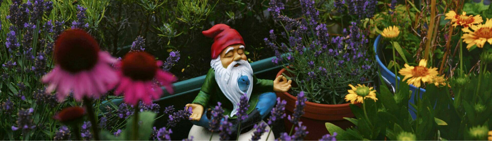 Meditation: Amygdala im Zen-Modus - DocCheck