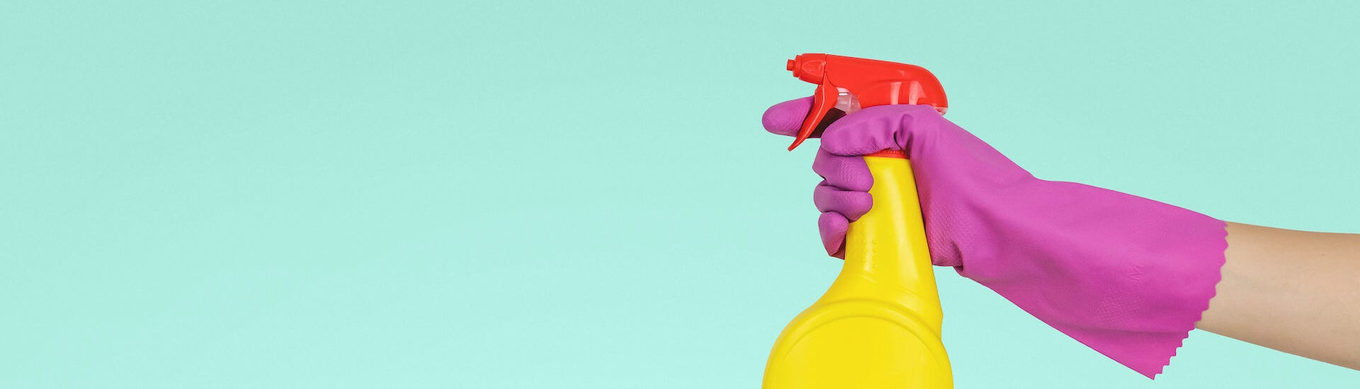 How A Clean Home Can Be Harmful - DocCheck