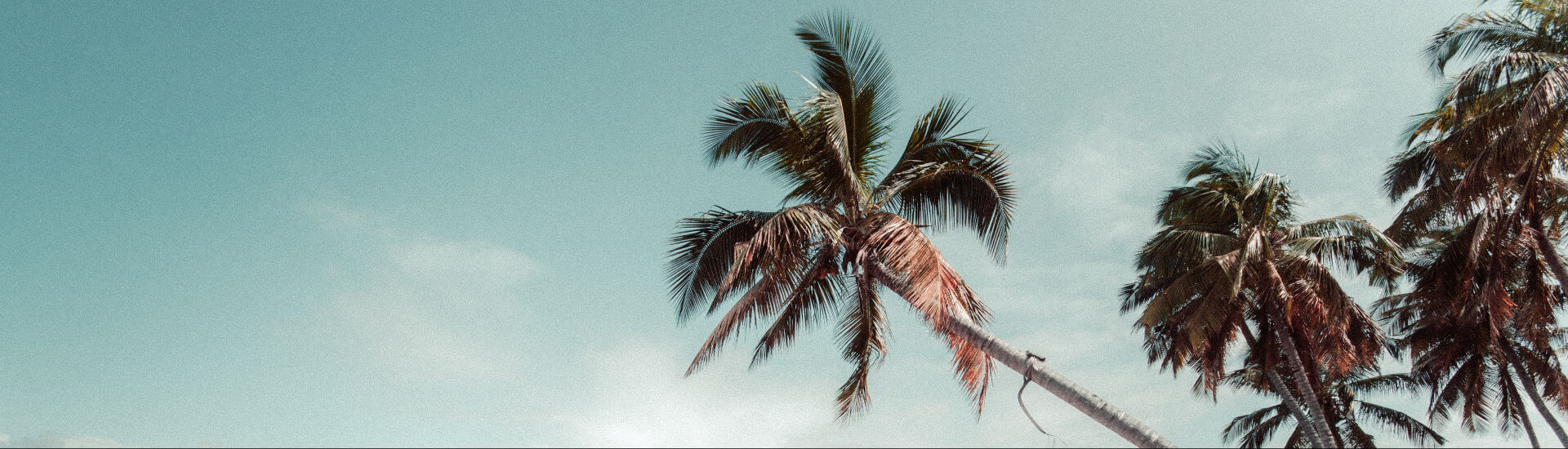 Prostata-NEM: Einen von der Palme wedeln - DocCheck