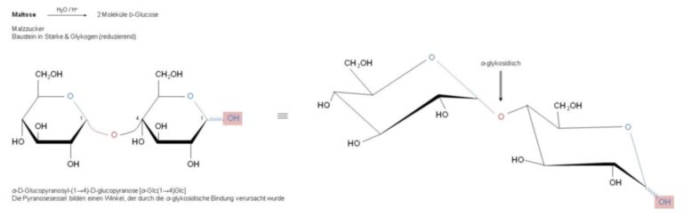 Maltose - DocCheck