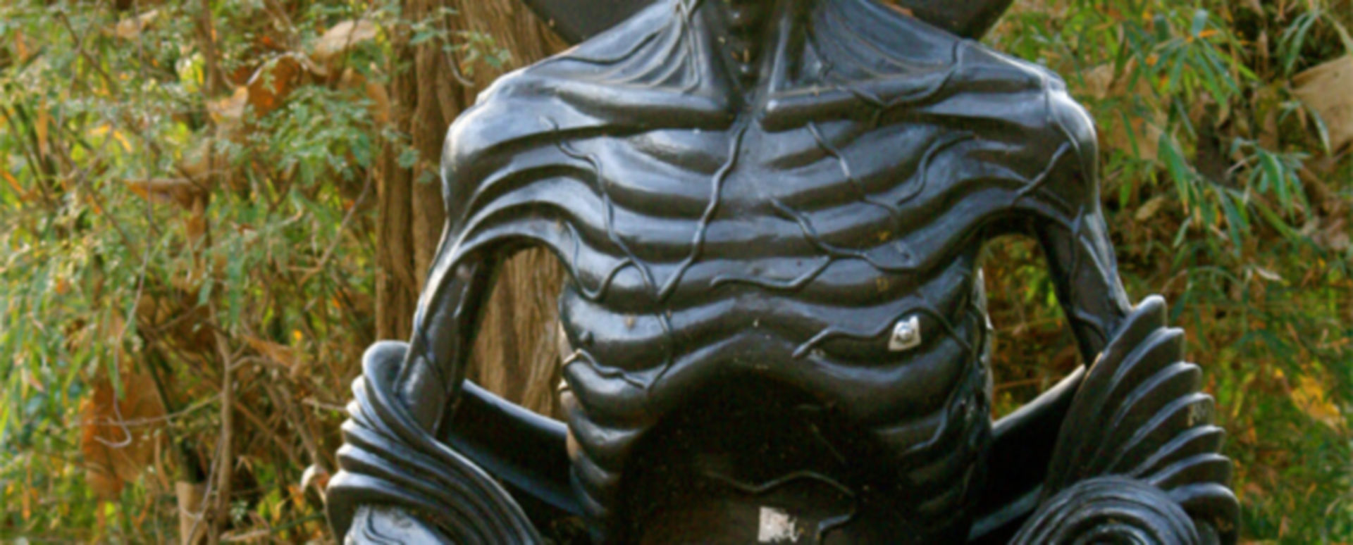 Kardiale Kachexie: MuRF1 spielt Schlüsselrolle - DocCheck