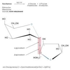 Saccharose - DocCheck Flexikon