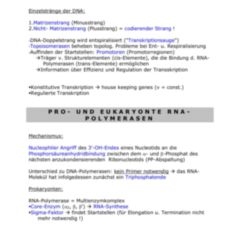 Transkription - DocCheck Flexikon