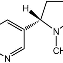 Nikotin - DocCheck Flexikon