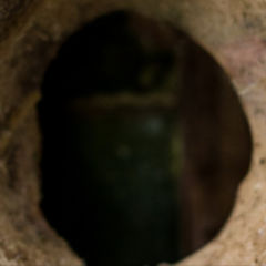 Fistel - DocCheck Flexikon