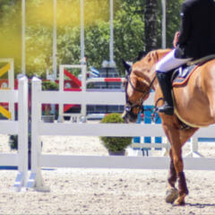 PECH-Schema - DocCheck Flexikon