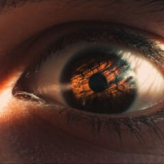 Trachom - DocCheck Flexikon