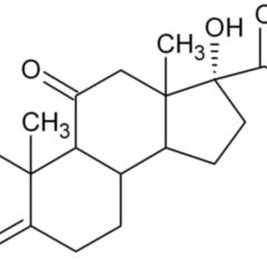 Cortison - DocCheck Flexikon