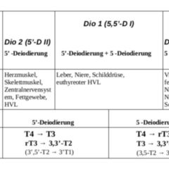 Biologische Wirkung - DocCheck Flexikon